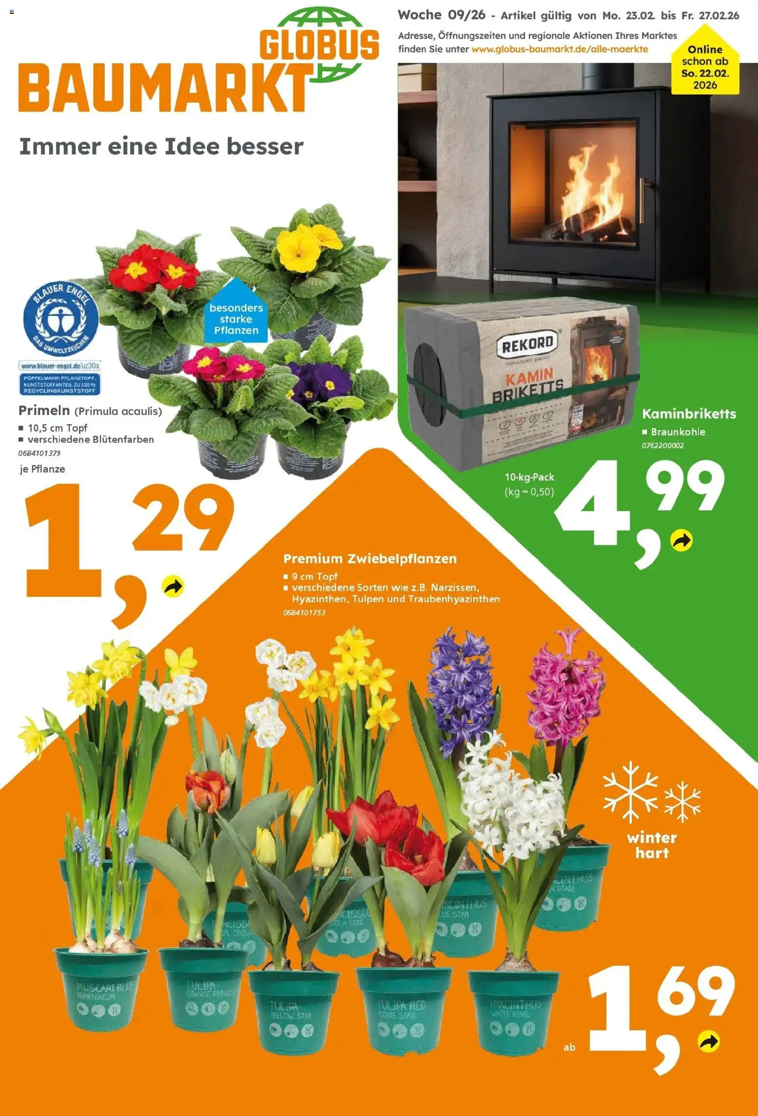 Elegantes Globus Baumarkt Prospekt Nächste Woche Ebenbild